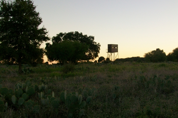 Hunting Davine Springs Ranch | DaVine Springs Ranch